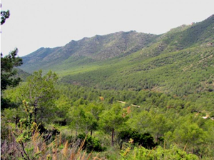 Faint Hope for Nerja Golf? - Costa Tropical Gazette News